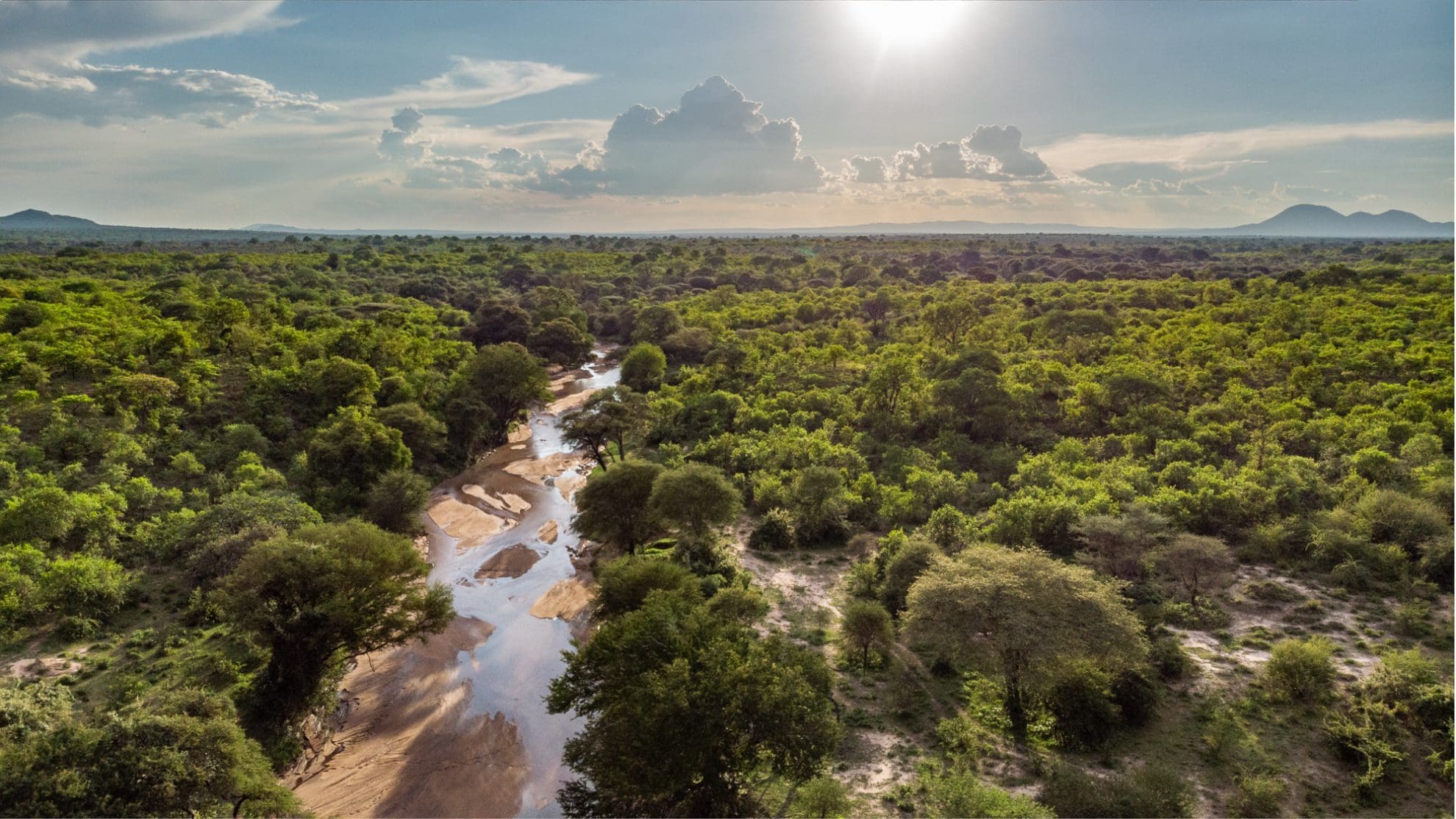 Zimbabwe Safaris - Discover Africa Wildlife