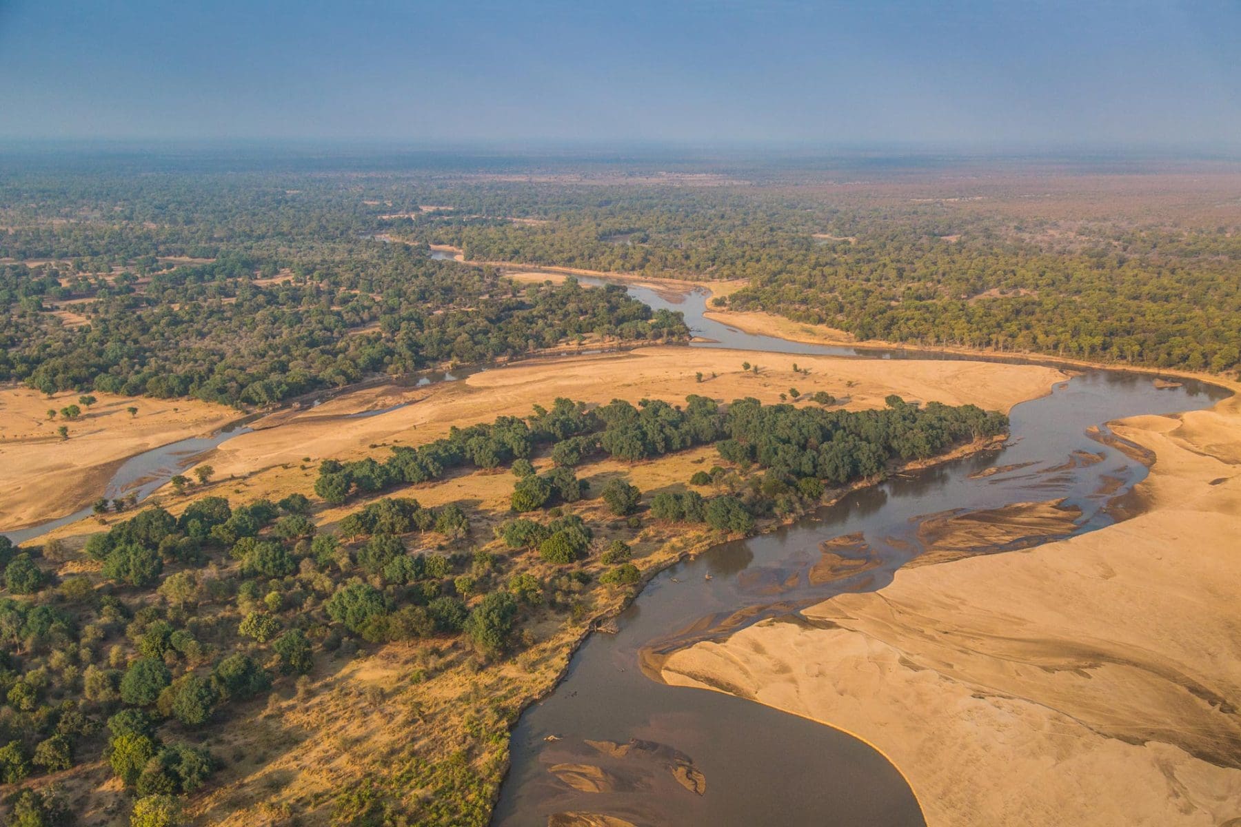 Zambia Safaris - Discover Africa Wildlife